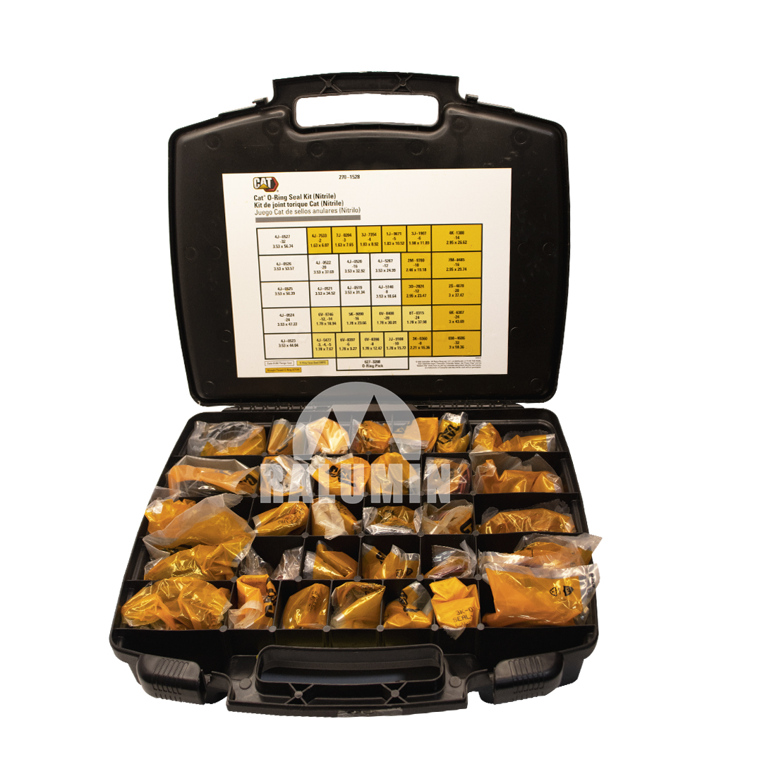 SEAL KIT O-RING - RALUMIN